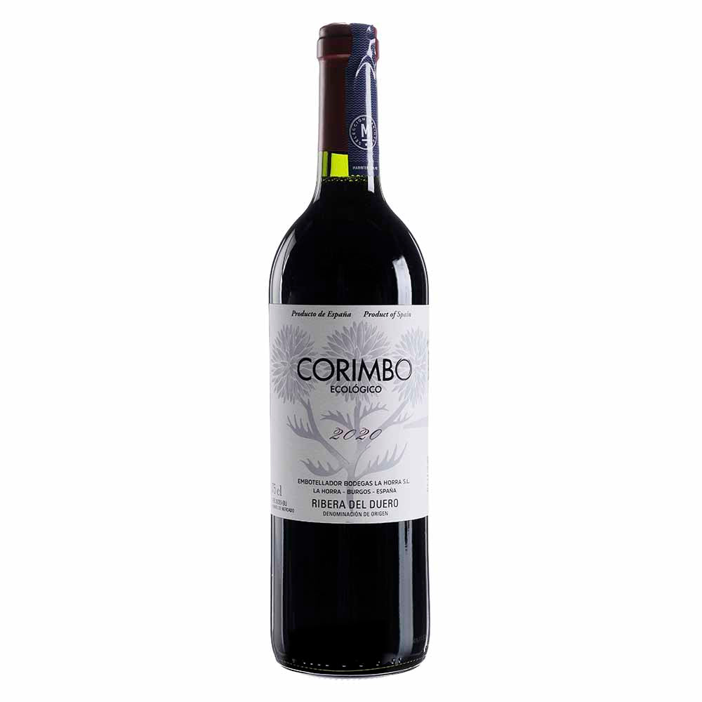 Corimbo 2020 – Antzara